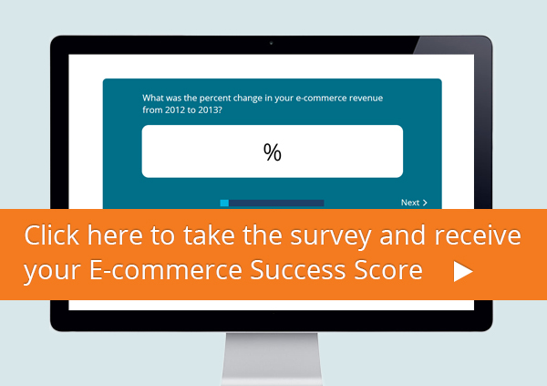 Ecommerce Research Chart: Discover your unique ecommerce success score ...