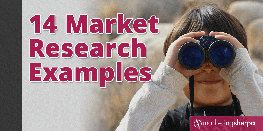 14 Market Research Examples MarketingSherpa