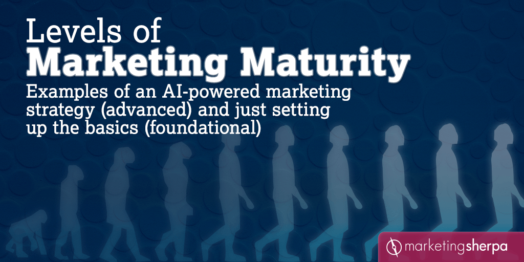 Levels of Marketing Maturity: Examples of an AI-powered marketing ...