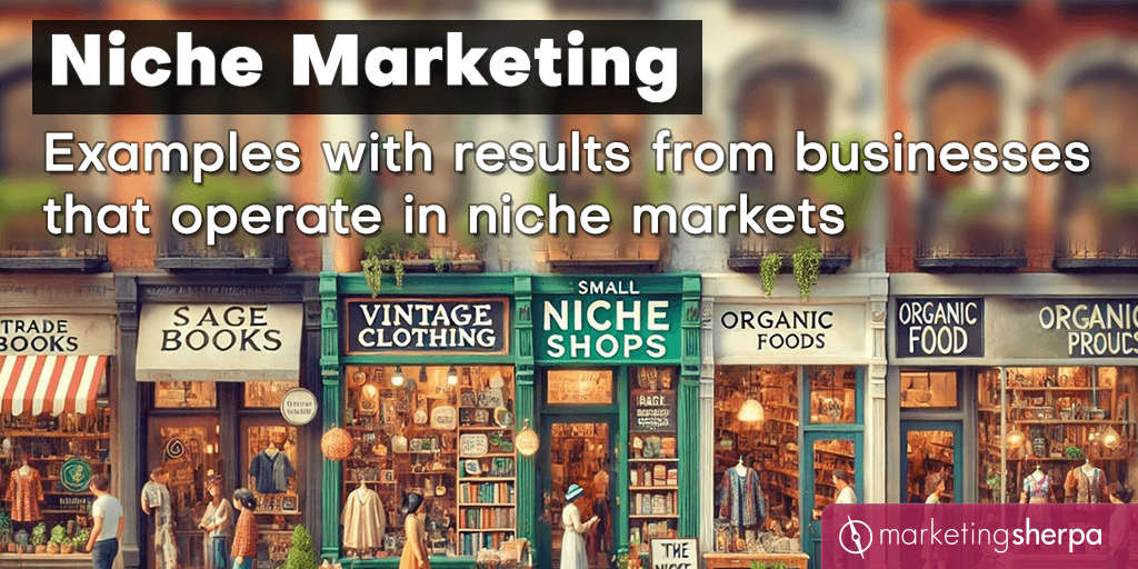 Niche Marketing: Examples with results from businesses that operate in niche markets ...